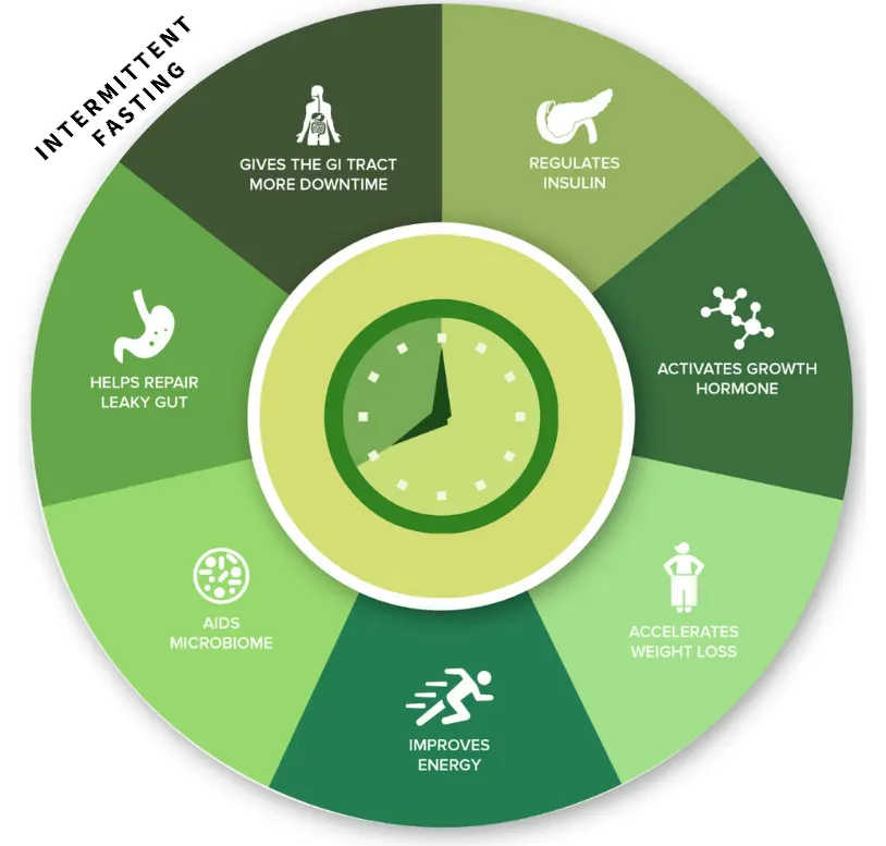 The science of fasting and time-restricted diet plans